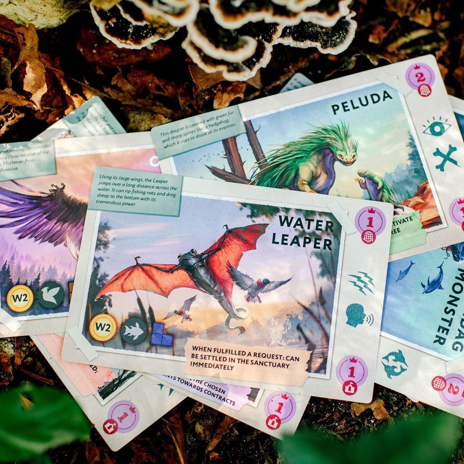 Cryptic Nature Boardgame